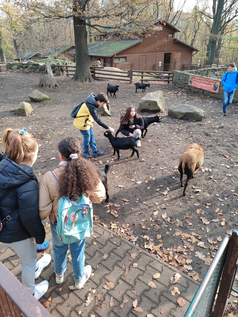 Soutěž mladých zoologů v ZOO Ostrava | Základní a mateřská škola ...